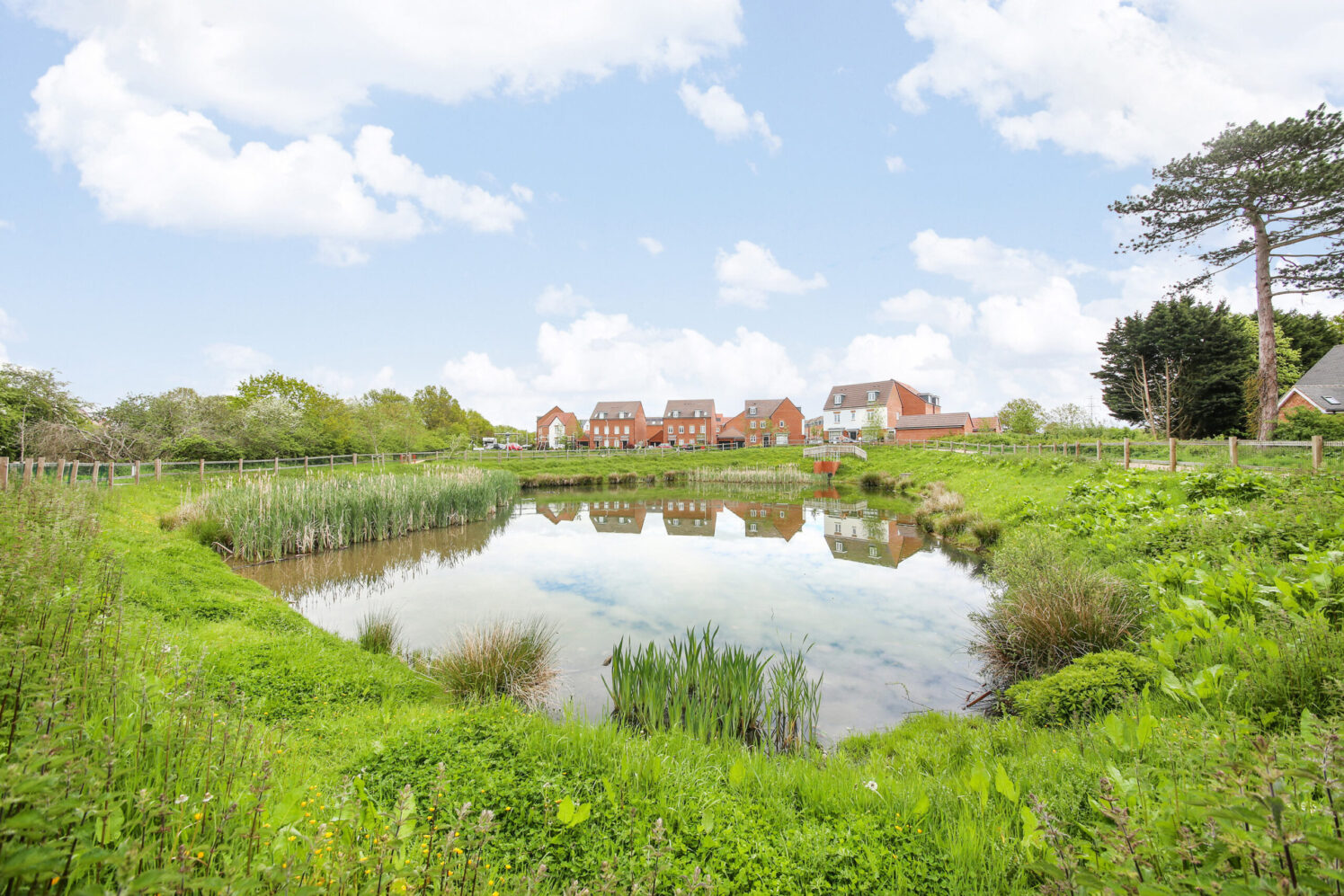 Photography - Mortimer Photography